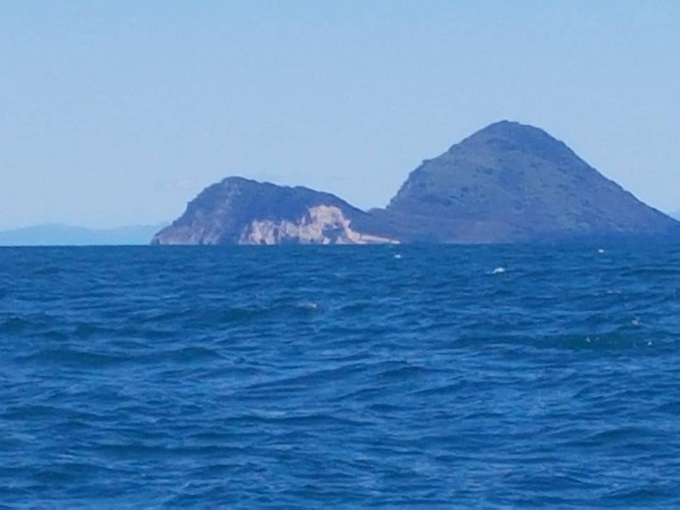 Location - Matata Beach